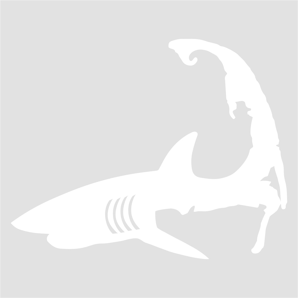 Vinyl Sticker - White – Cape Shark
